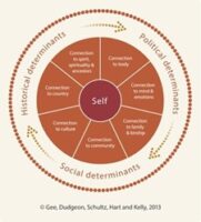 Social and Emotional Wellbeing – AHCWA